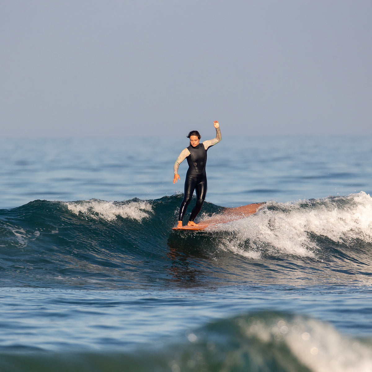 Wayne Rich x Surftech - The Wildcard 3 Longboard in NFT